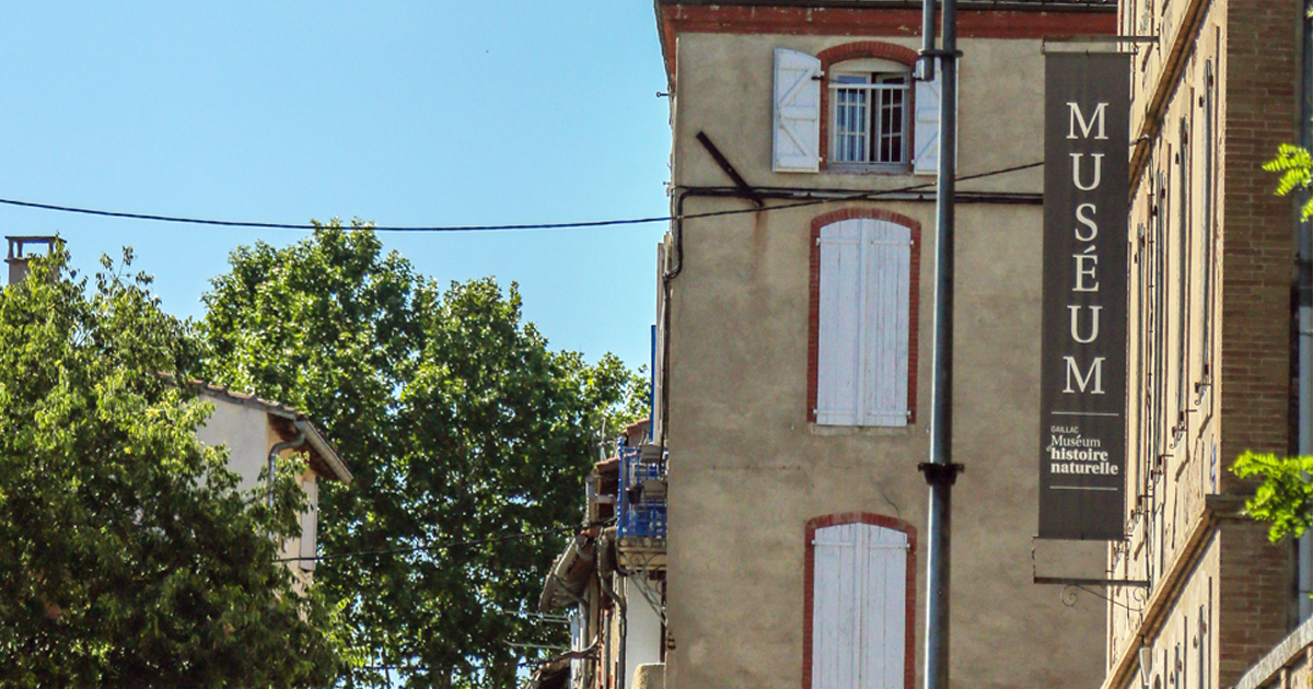 L'été à Gaillac - Gaillac