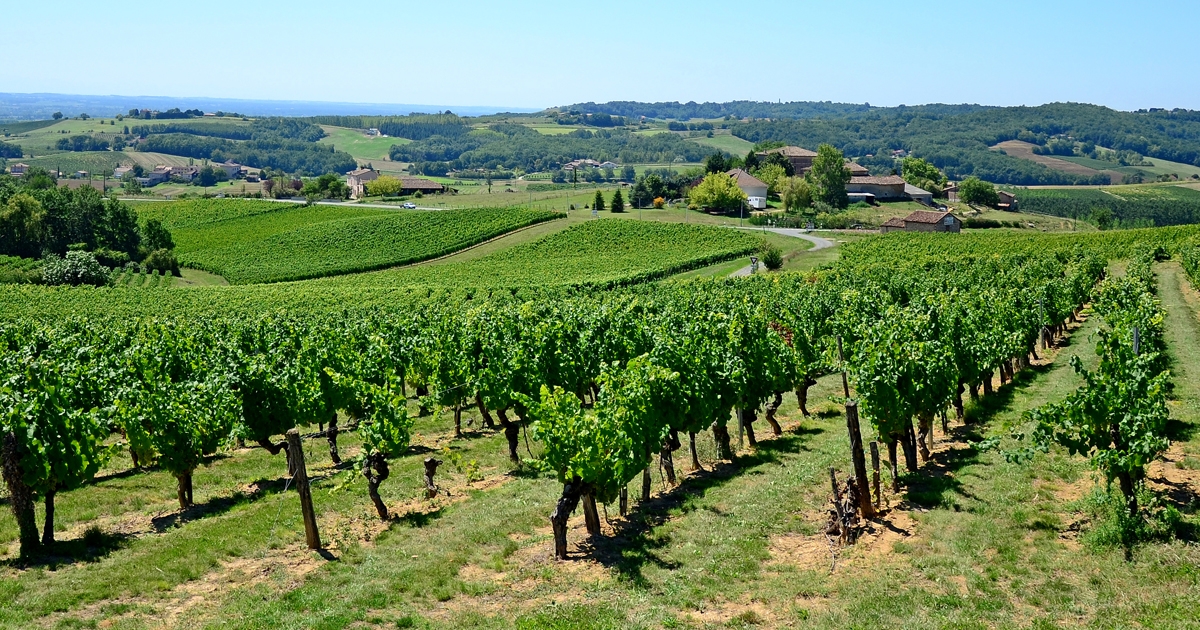 Sites remarquables - Gaillac